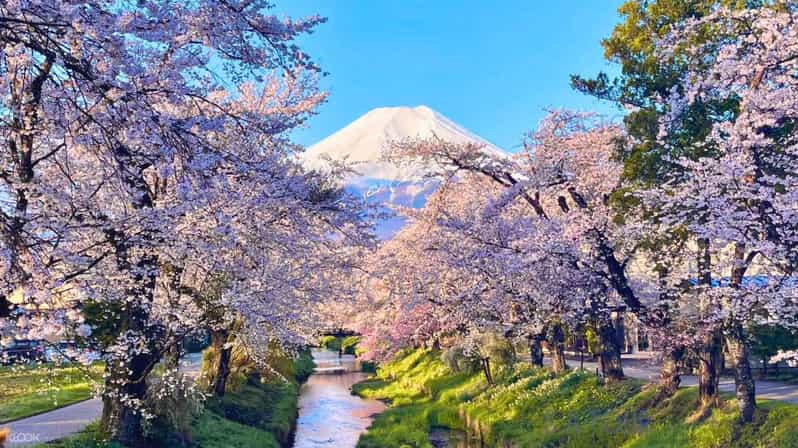Oshino Hakkai, Ole Hot Spring in Mount Fuji One day Tour | GetYourGuide