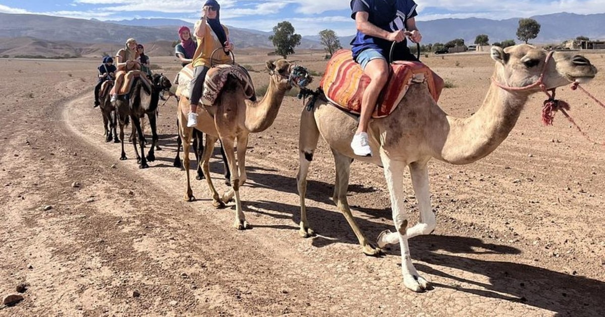 Marrakech :atlas 3 pueblos bereberes del valle y paseo en camello ...