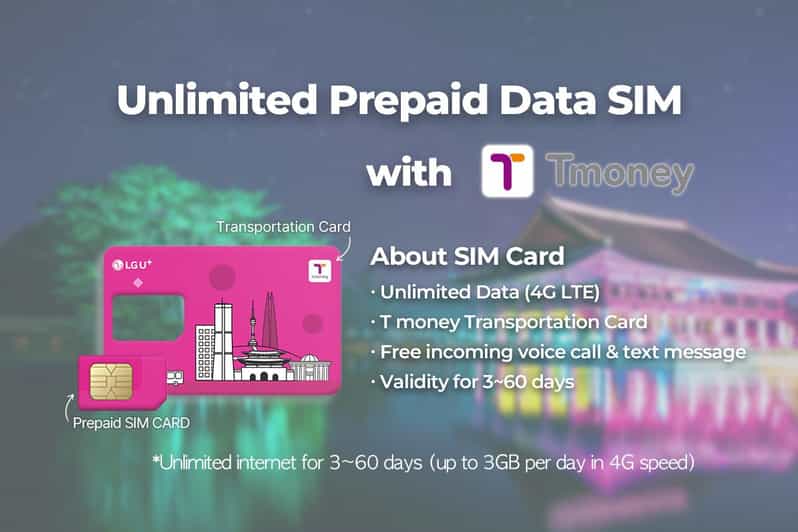 Gimpo Airport: Traveler SIM and T-money Transportation Card | GetYourGuide