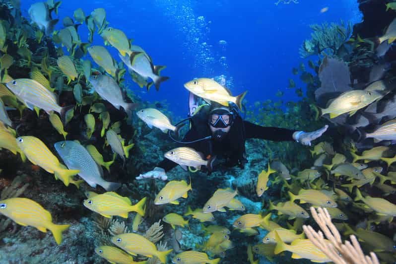 Cancun: Scuba Diving for Certified Divers, 3 options to dive | GetYourGuide