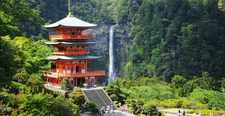 Tanabe 2022: Top 10 Touren & Aktivitäten (mit Fotos) - Erlebnisse in ...