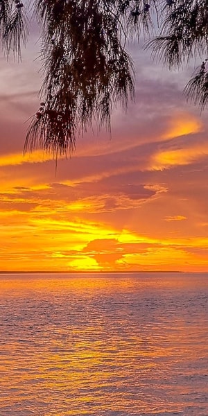 Darwin: Sunset Harbour Cruise with Fish and Chips Dinner | GetYourGuide