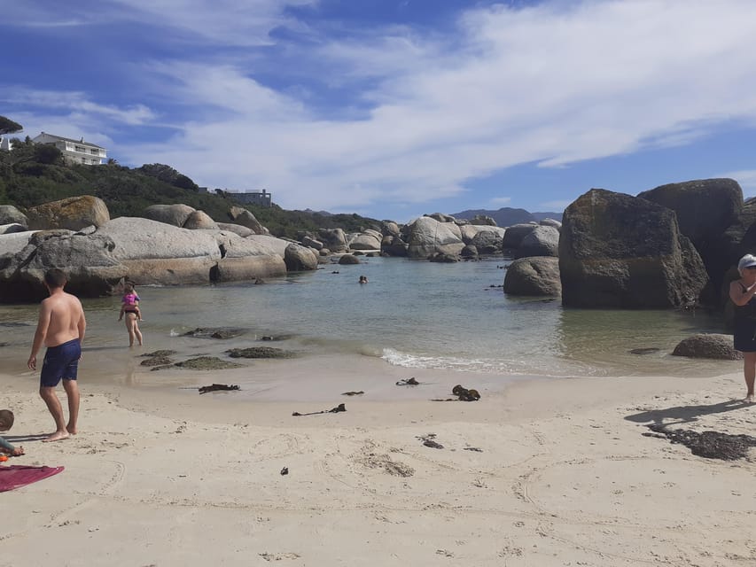 Kap der Guten Hoffnung: Sightseeing und Afrikanische Pinguine Tour | GetYourGuide