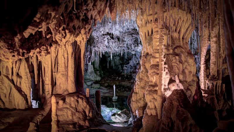 Mallorca: Caves of Hams Tour and Dinosaur Land Visit | GetYourGuide