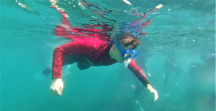 Praia do Creiro, Portinho da Arrábida - Book Tickets & Tours | GetYour