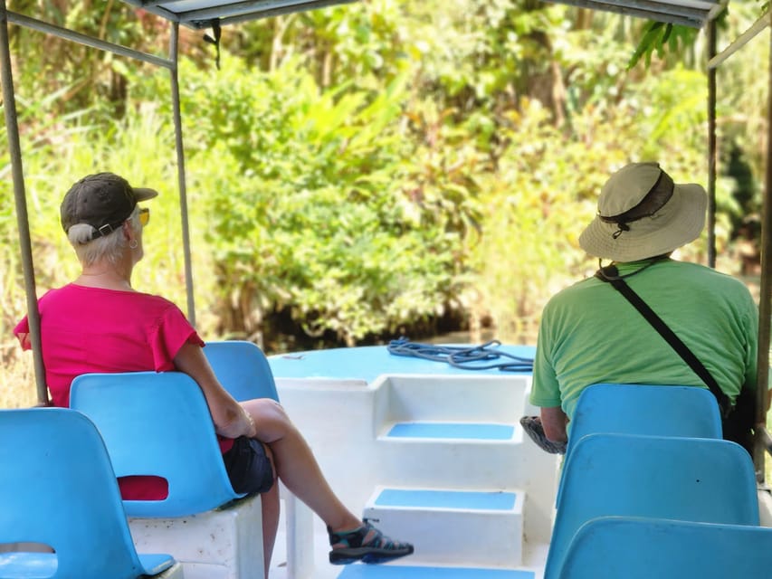 Monkey Mangrove Boat Tour | GetYourGuide