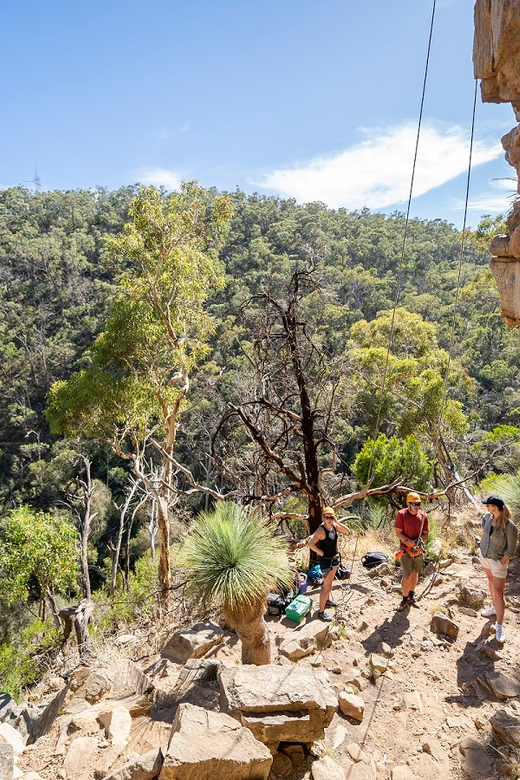Adelaide: Rock Climbing and Abseiling Experience in Morialta | GetYourGuide