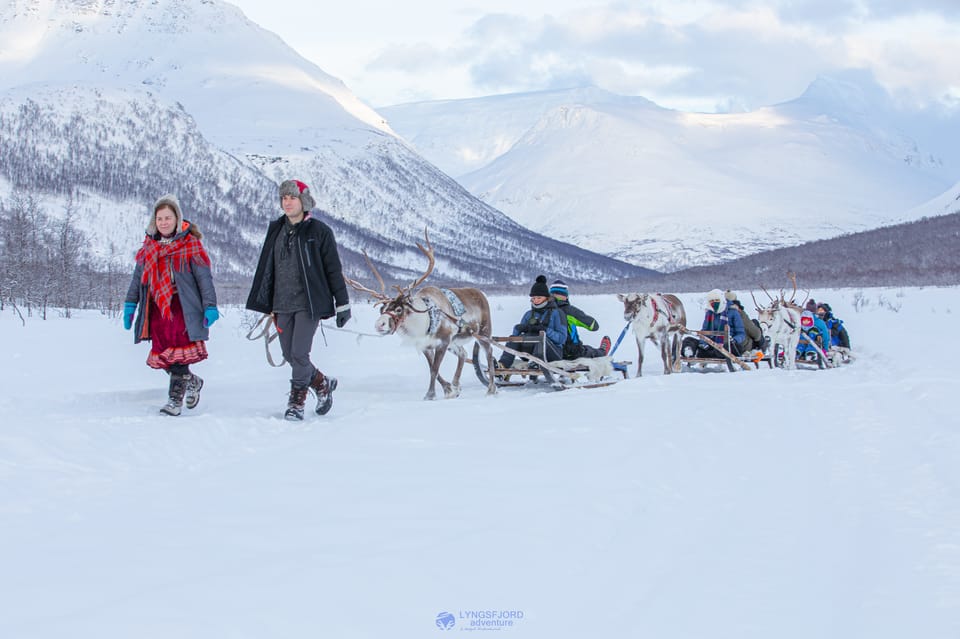 From Tromsø: Daytime Reindeer Sledding at Camp Tamok | GetYourGuide