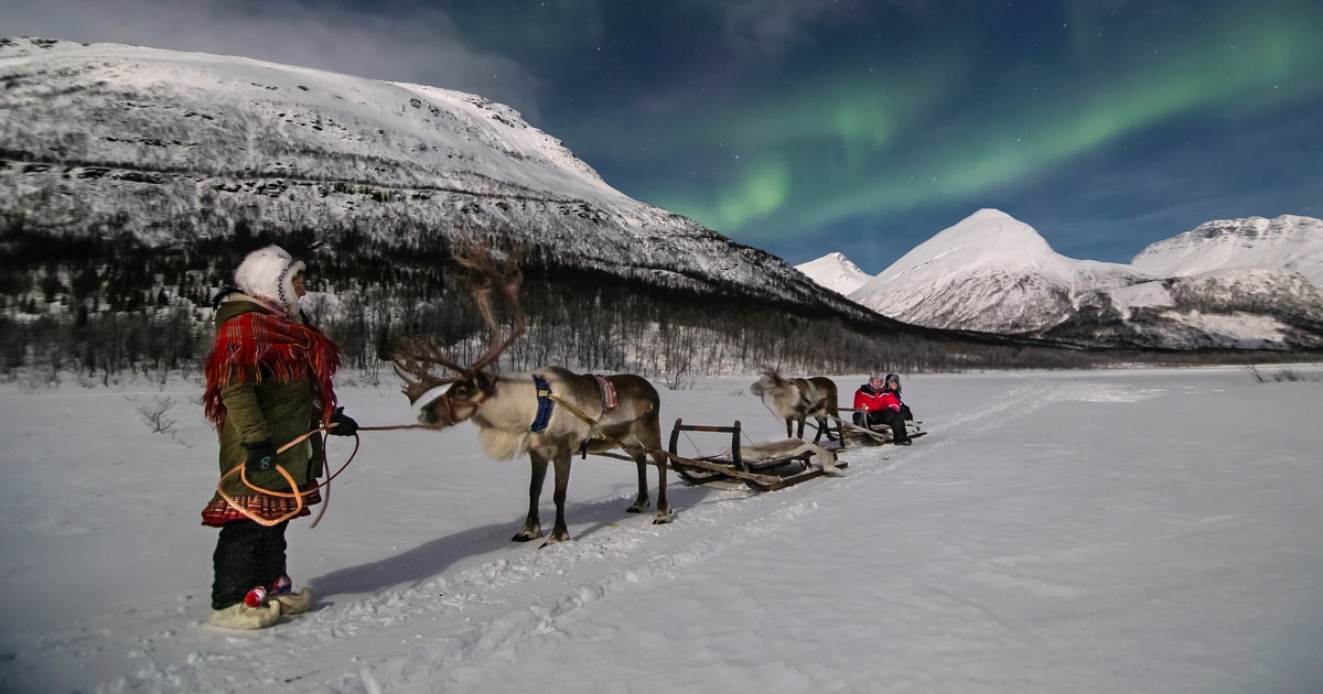 From Tromsø: Evening Reindeer Sledding at Camp Tamok | GetYourGuide