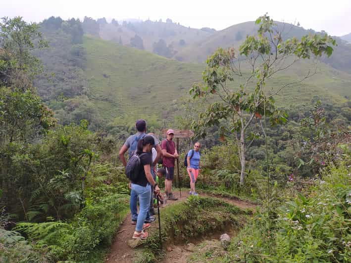 Medellin: Half–Day Private Nature Tour & Waterfall Hike | GetYourGuide