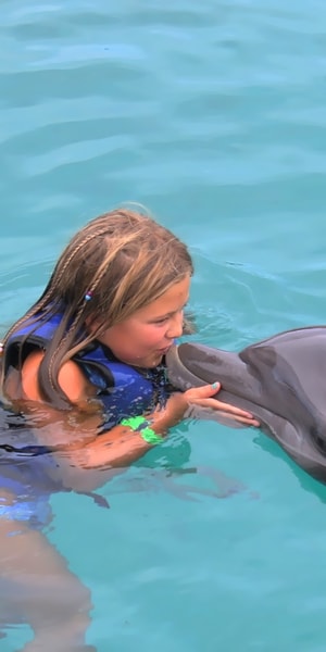 Saint Thomas: Swim with Dolphins at Coral World Ocean Park | GetYourGuide