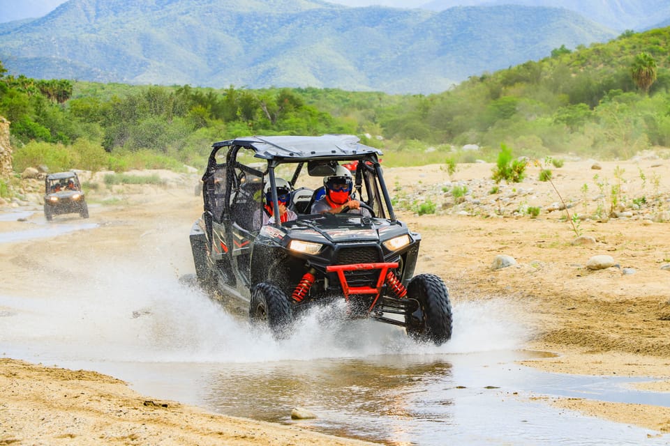 Cabo San Lucas: Combo Camel Ride & Off-Road UTV Adventure | GetYourGuide