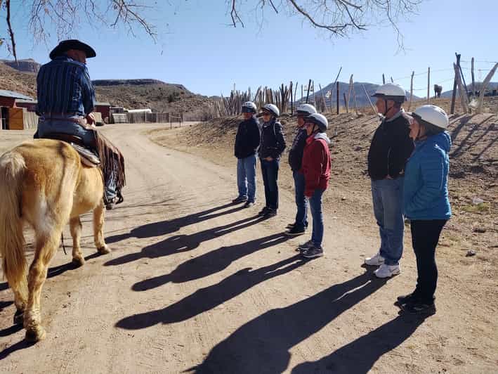 Horseback Ride thru Joshua Tree Forest with Buffalo & Lunch | GetYourGuide