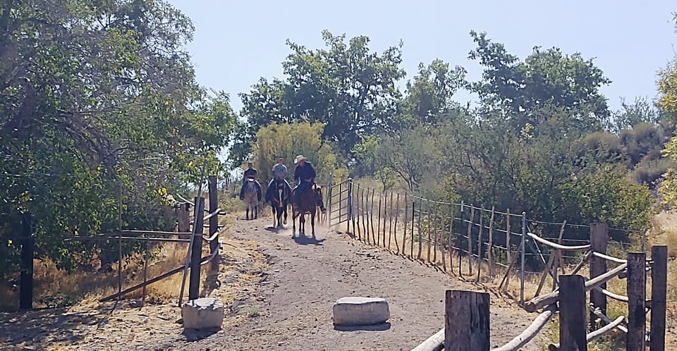 Horseback Ride thru Joshua Tree Forest with Buffalo & Lunch | GetYourGuide