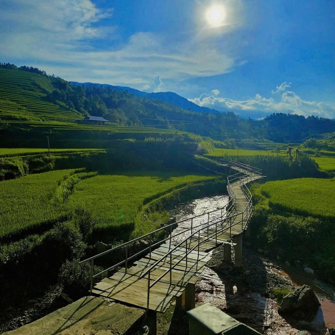 2-Day Motorbike Tour to Mu Cang Chai Loop from Sapa | GetYourGuide