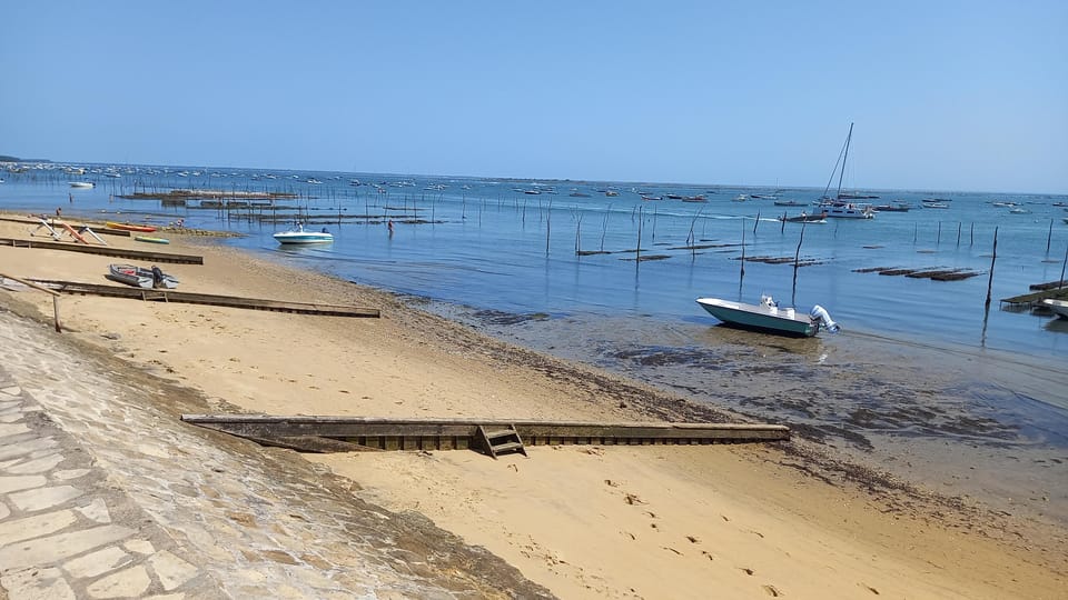 Cap-Ferret with Oysters Tasting | GetYourGuide