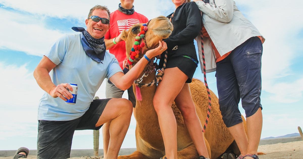 Los Cabos: 2 in 1 Combo Tour | GetYourGuide