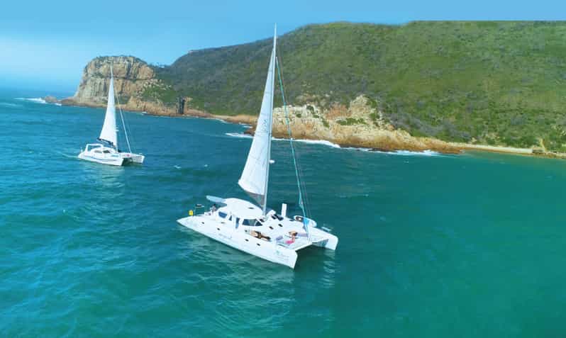 Knysna: 2.5-Hour Luxury Sunset Sailing Cruise | GetYourGuide