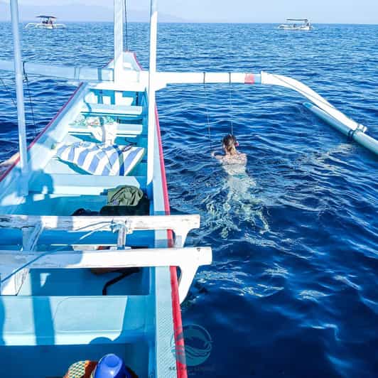 North Bali : Lovina Dolphins and Ulun Danu Temple | GetYourGuide