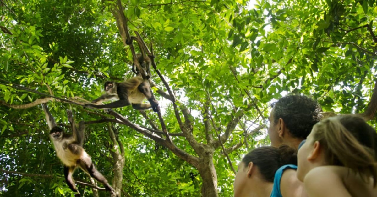 Riviera Maya: Croco Cun Interactive Zoo Tour | GetYourGuide