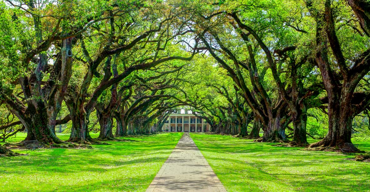 Louisiana Plantation Country Half-Day Tour | GetYourGuide