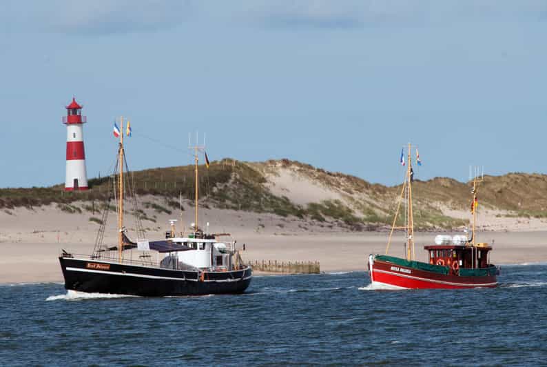 Sylt: Boat tour to the seals from List | GetYourGuide