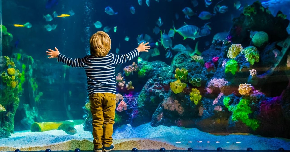 Helsinki: Sea Life Tickets für den Eintritt | GetYourGuide