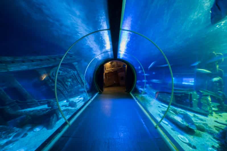 Paris : billet d'entrée à l'aquarium SEA LIFE | GetYourGuide