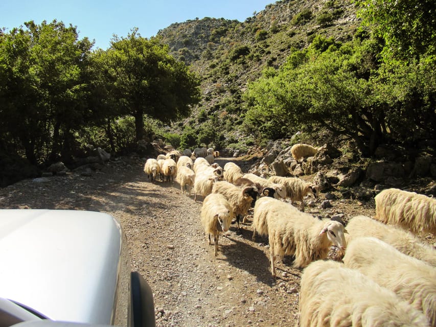 Crete: Lasithi Plateau Off-Road Land Rover Safari with Lunch | GetYourGuide