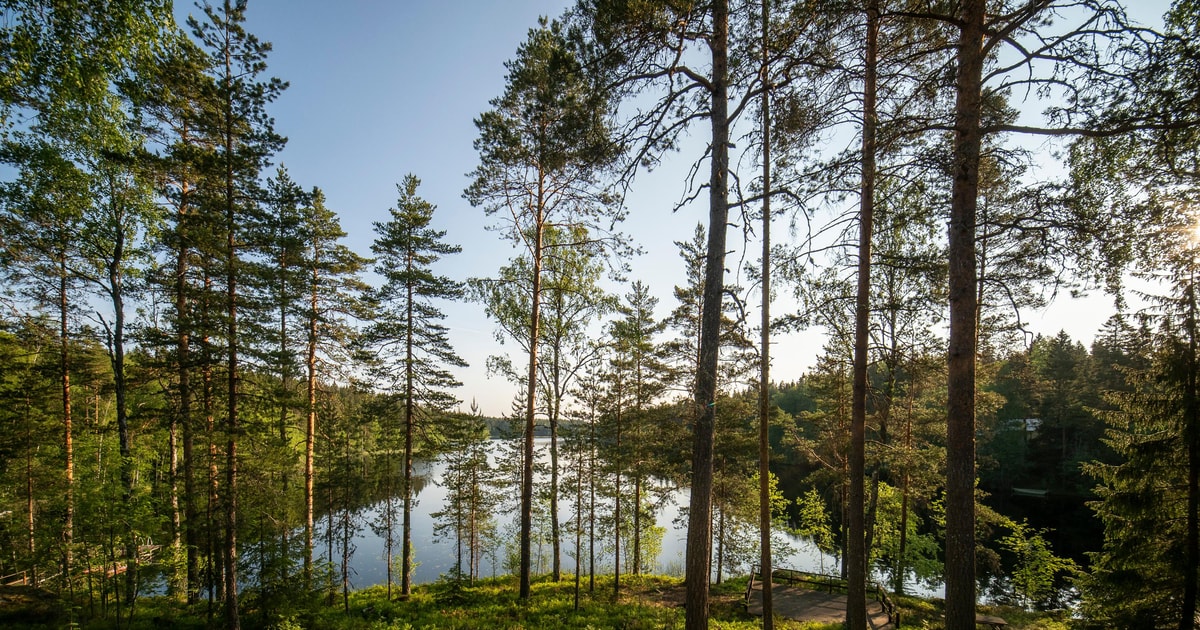 Nuuksio forest tour, campfire coffee and social media photos | GetYourGuide