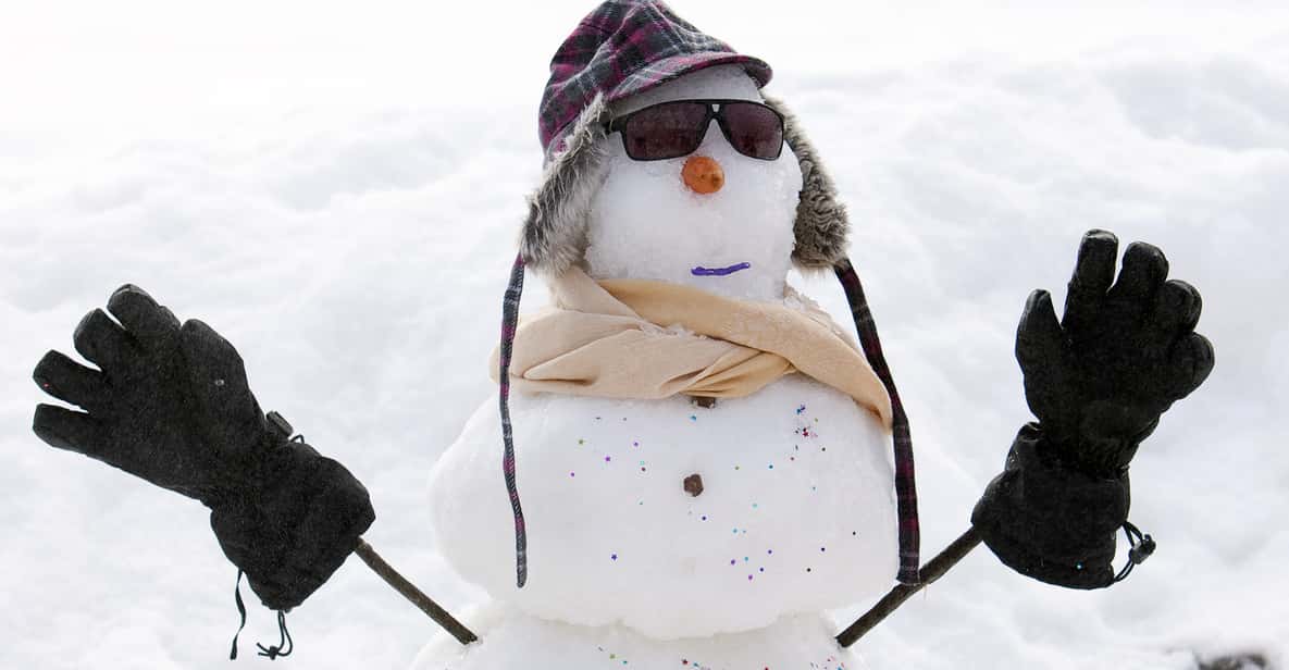 Melbourne: Lake Mountain Snow Guided Tour | GetYourGuide