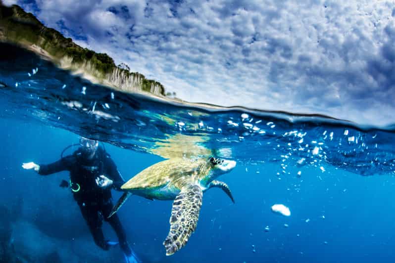 Rio de Janeiro: Arraial do Cabo Scuba Diving Day Trip | GetYourGuide