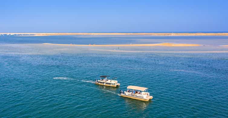 Desertas Islands, Madeira - Book Tickets & Tours | GetYourGuide