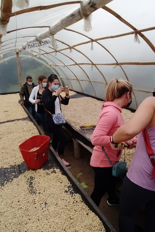 Desde Medellín: Tour privado del café de Envigado con catas | GetYourGuide