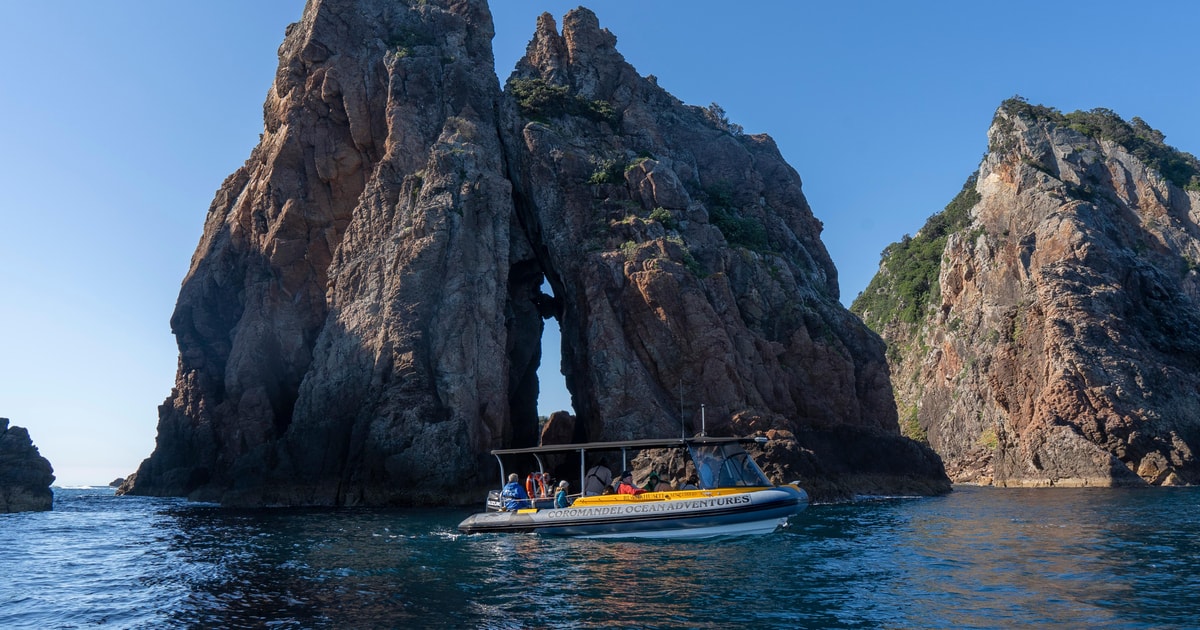 Da Auckland: Escursione di un giorno alle ISOLE ALDERMAN (Ruamaahu ...