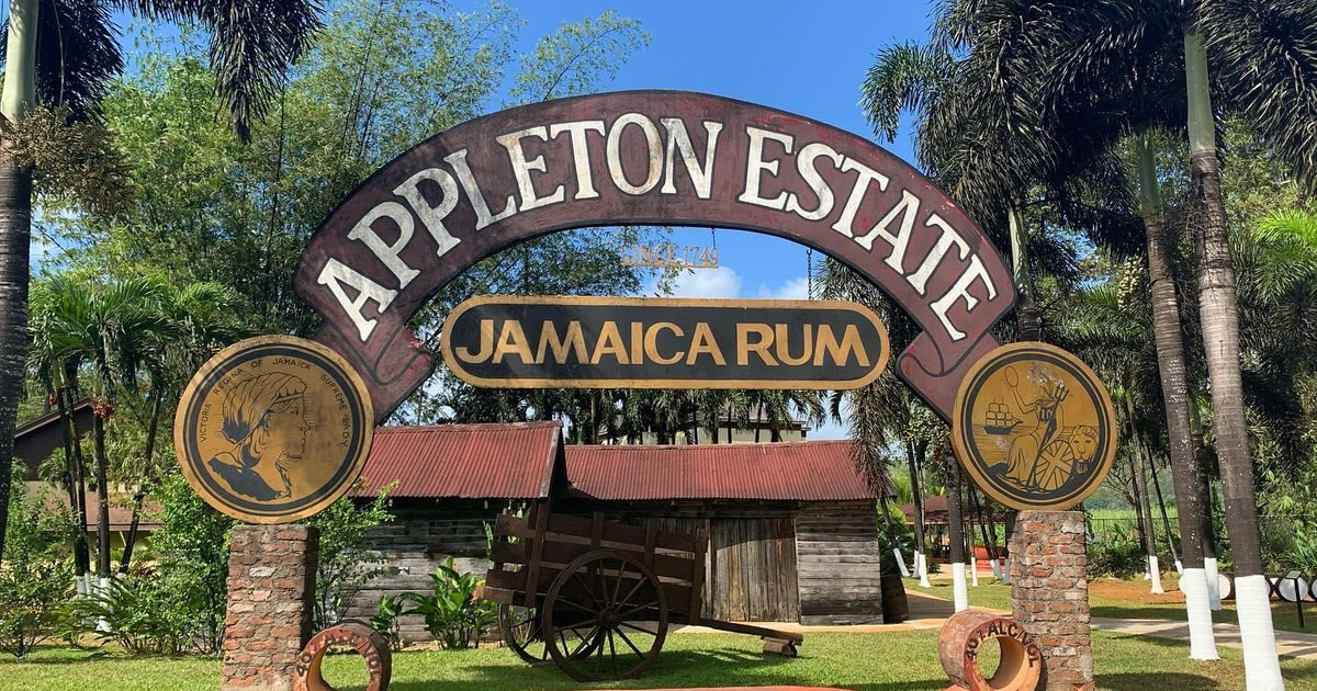 Appleton Rum Factory and Black River Safari Tour | GetYourGuide
