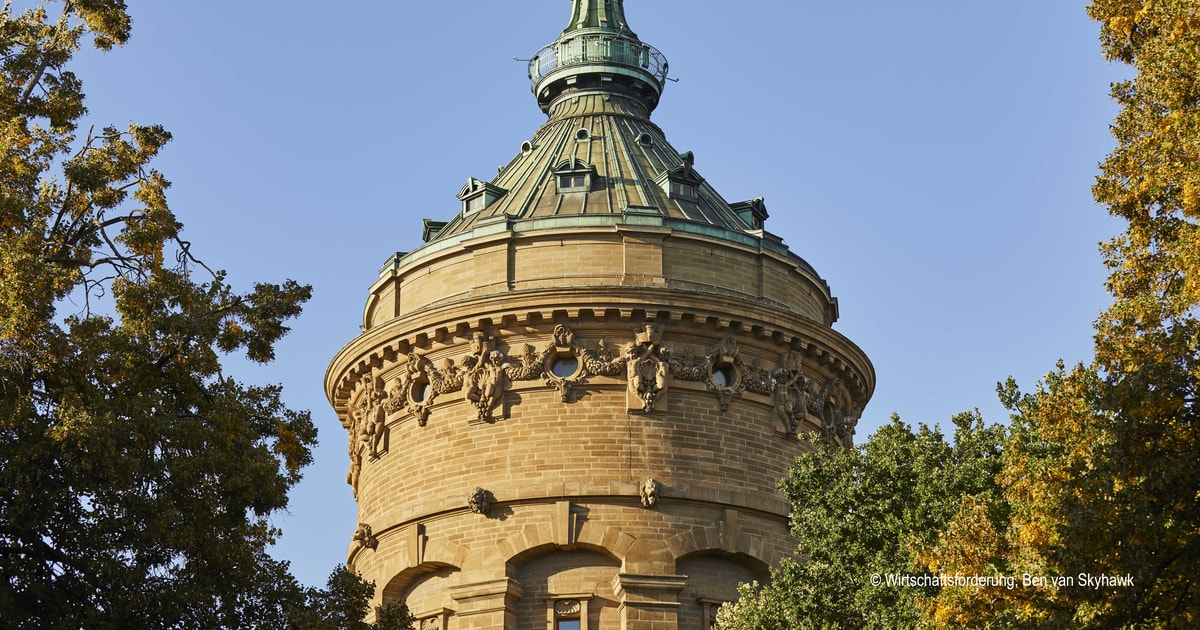 Mannheim: Guided Bus Tour | GetYourGuide