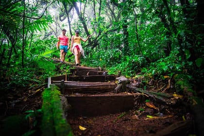 Mombacho Natural Reserve and Canopy Adventure | GetYourGuide