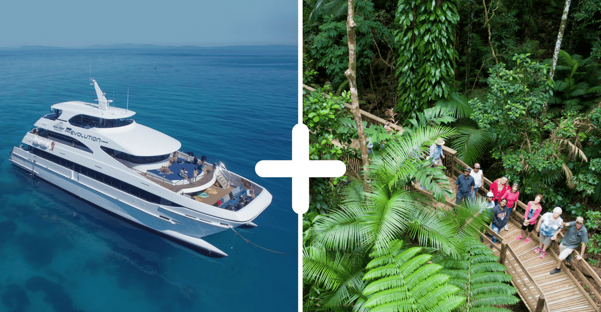 Cairns: 2-Day Great Barrier Reef & Daintree Rainforest Tour | GetYourGuide