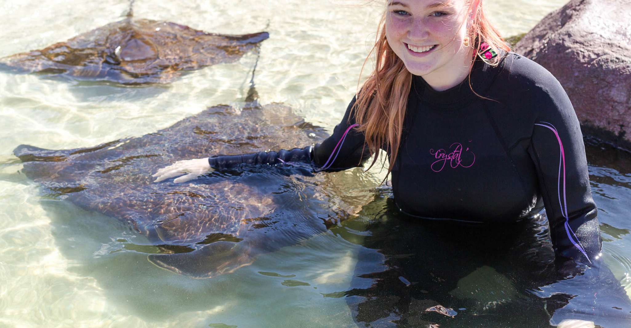 Anna Bay, Irukandji Entry and Shallow Water Shark Encounter | Water ...