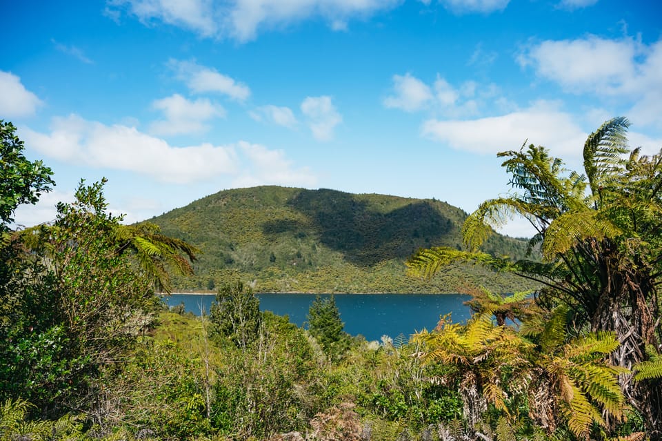 Rotorua: Explore The Lakes Half-Day Morning Tour | GetYourGuide