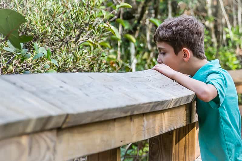 Everglades Safari Park: Airboat-Tour | GetYourGuide