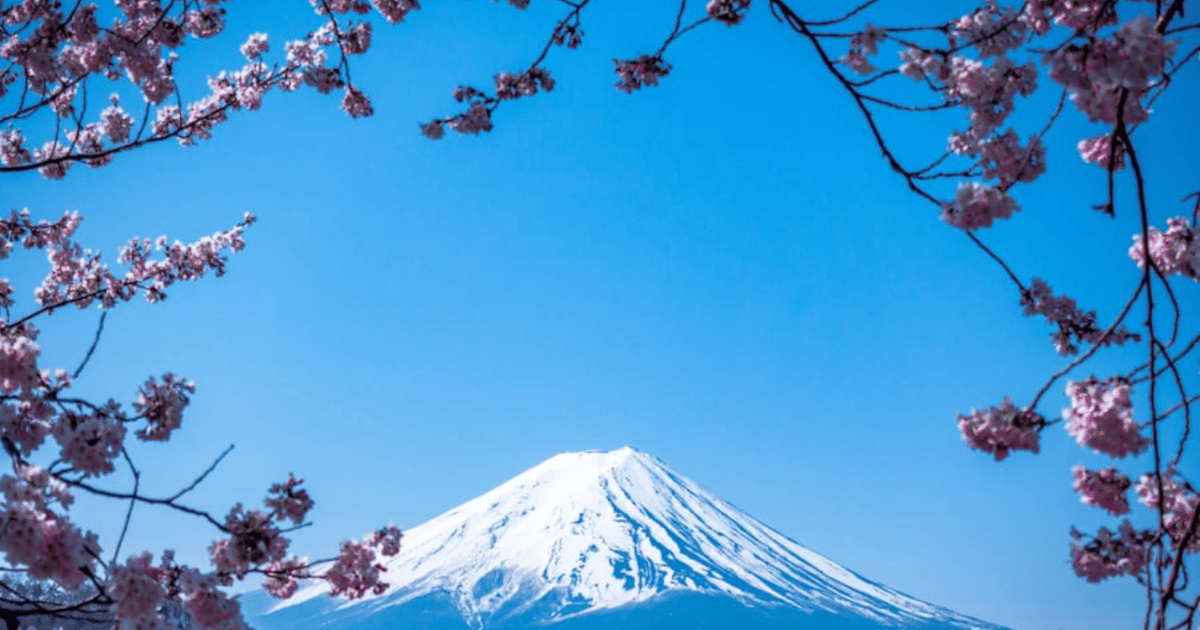 From Tokyo : Mount Fuji & Hakone Private Tour With Guide | GetYourGuide
