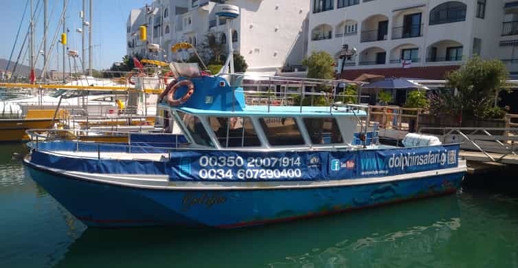 Gibraltar: Dolphin Watching Boat Tour V.I.P | GetYourGuide