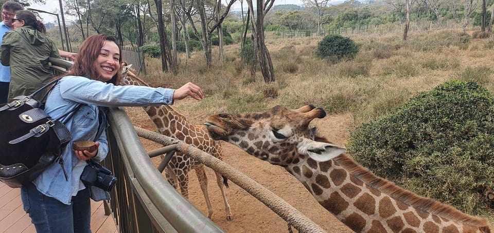 Giraffe Center City Day Tour | GetYourGuide