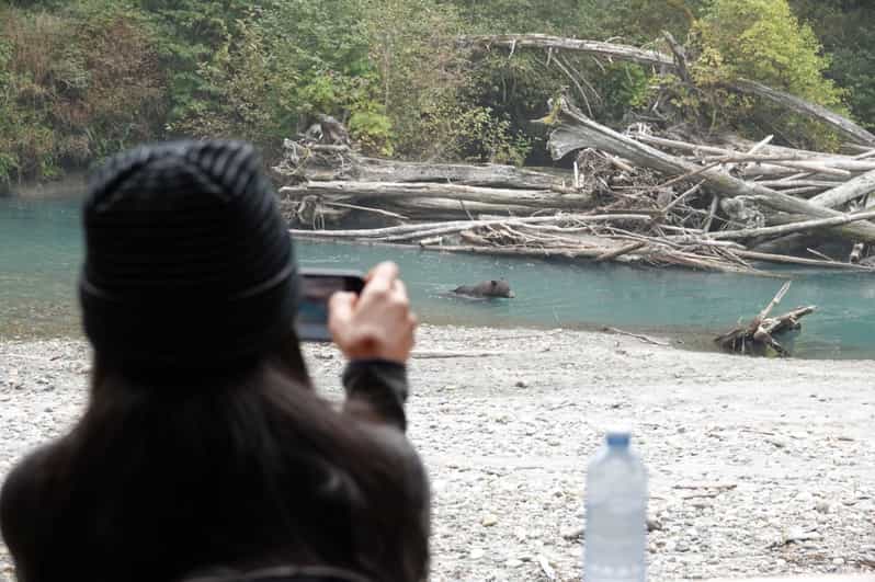 Vancouver Island: Full-Day Grizzly Bear Tour at Toba Inlet | GetYourGuide