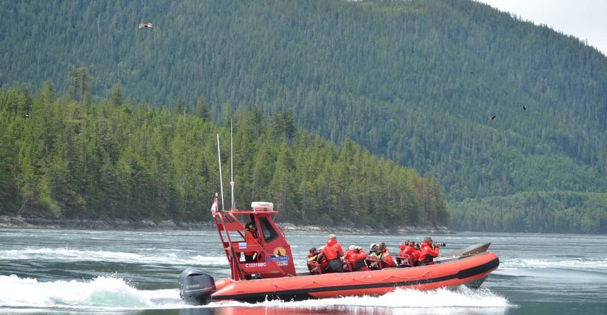 Campbell River: 4-Hour Ocean Rapids Ride | GetYourGuide