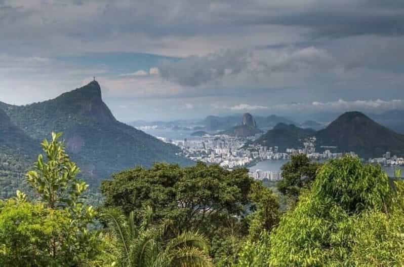 Rio: Tijuca National Park Private Guided Hike with Transfer | GetYourGuide