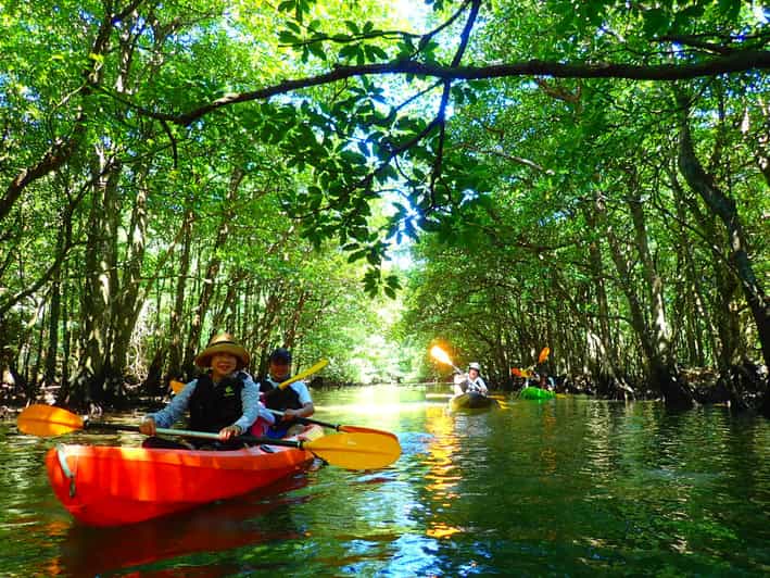 Iriomote Island: Kayaking and Canyoning Tour | GetYourGuide