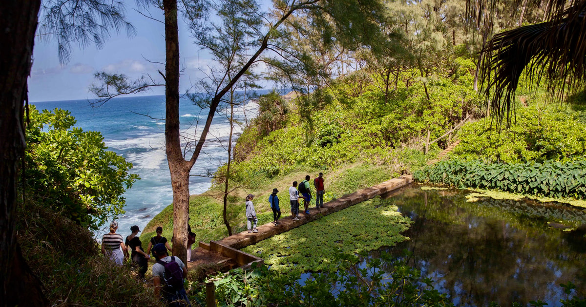 Mauritius-Experience the unspoiled South with a local guide | GetYourGuide